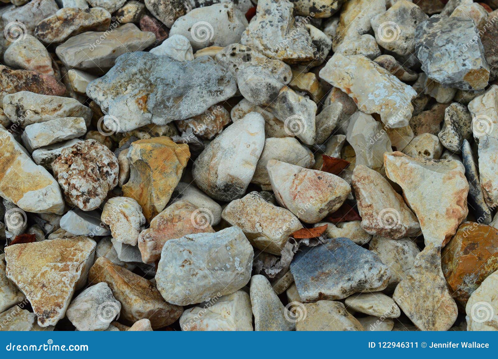 Close Up of Multi Colored River Rocks. Stock Image - Image of circle ...