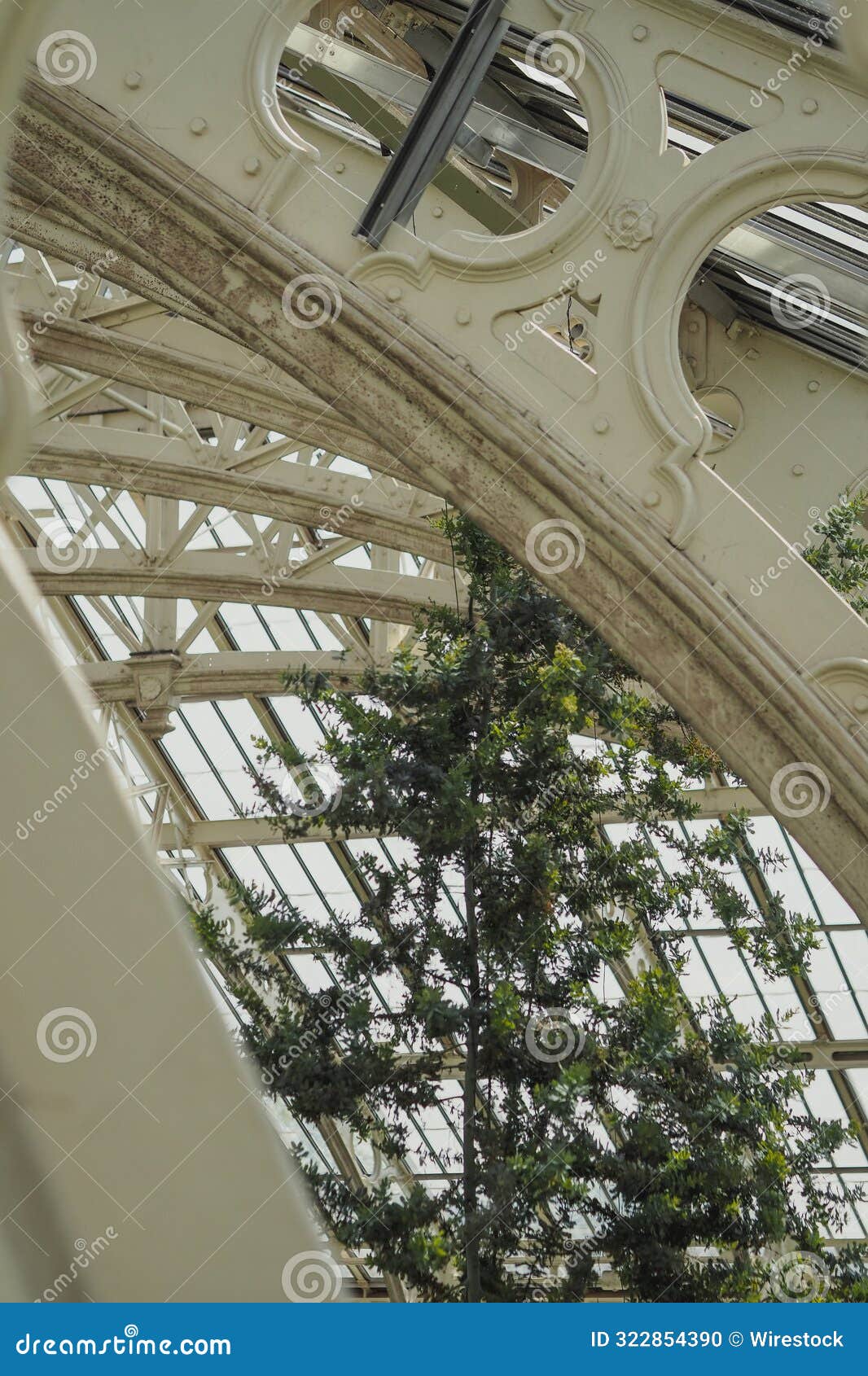 Close-up of a Multi-paned Window on a Large Greenhouse Building Stock ...