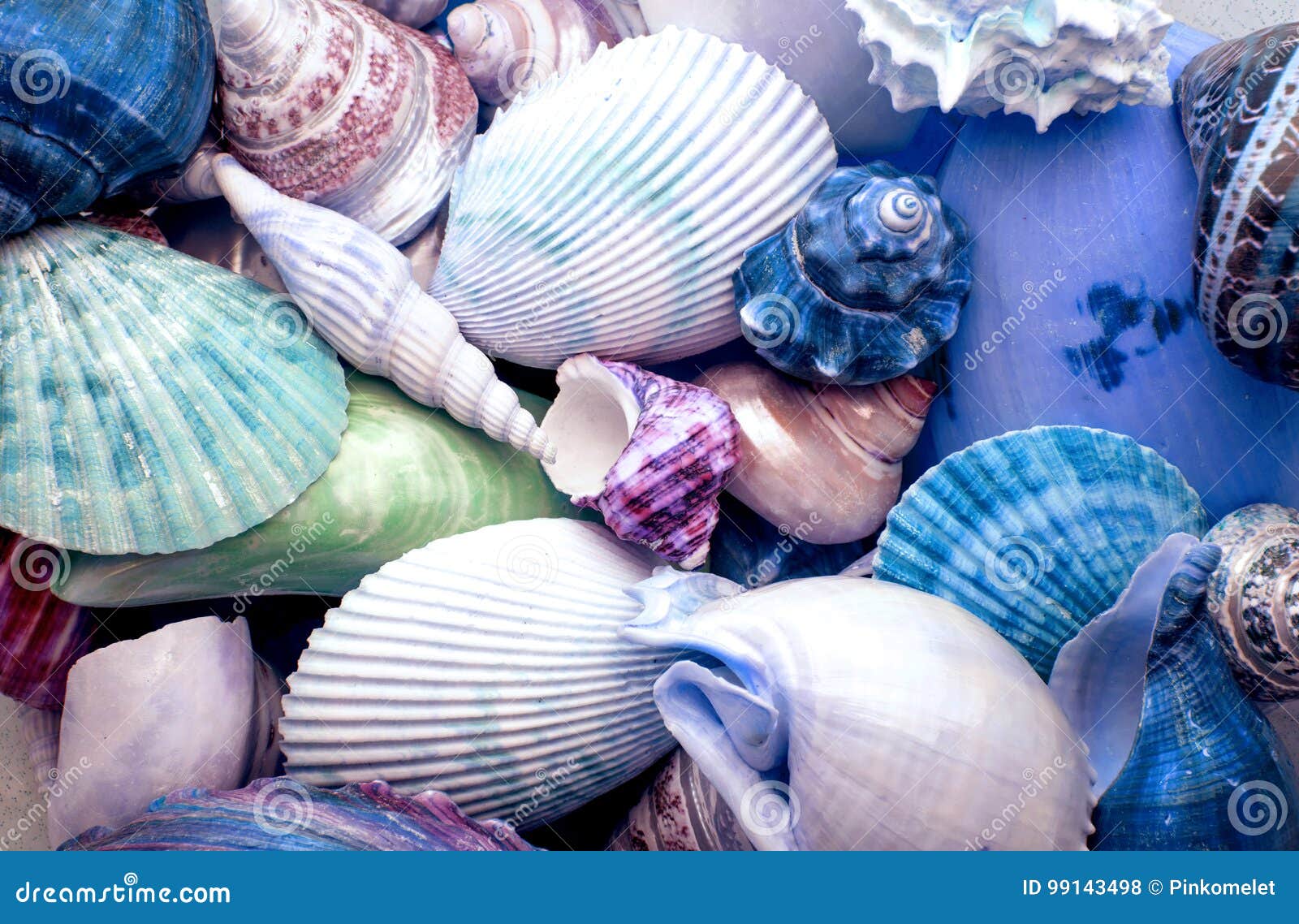 Close Up a Multi Sea Shells Texture Background , Blue Tone Stock Photo ...