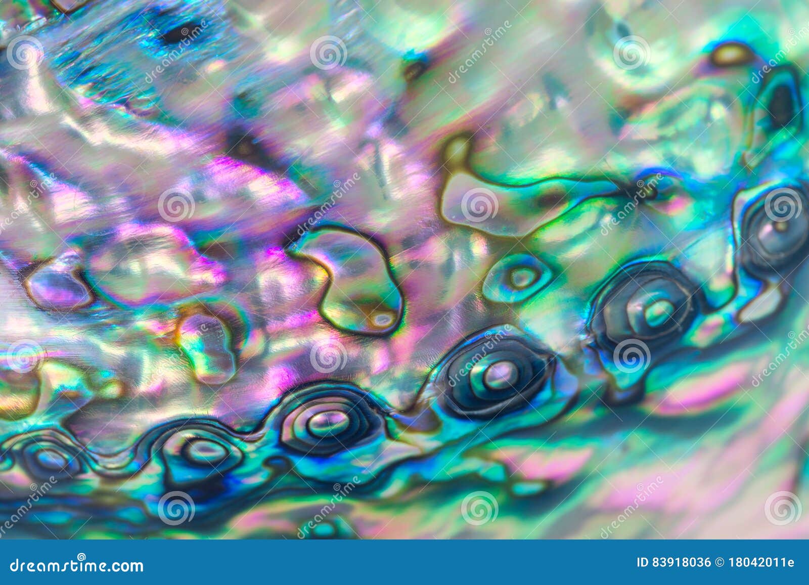 Abalone Graphic Textures