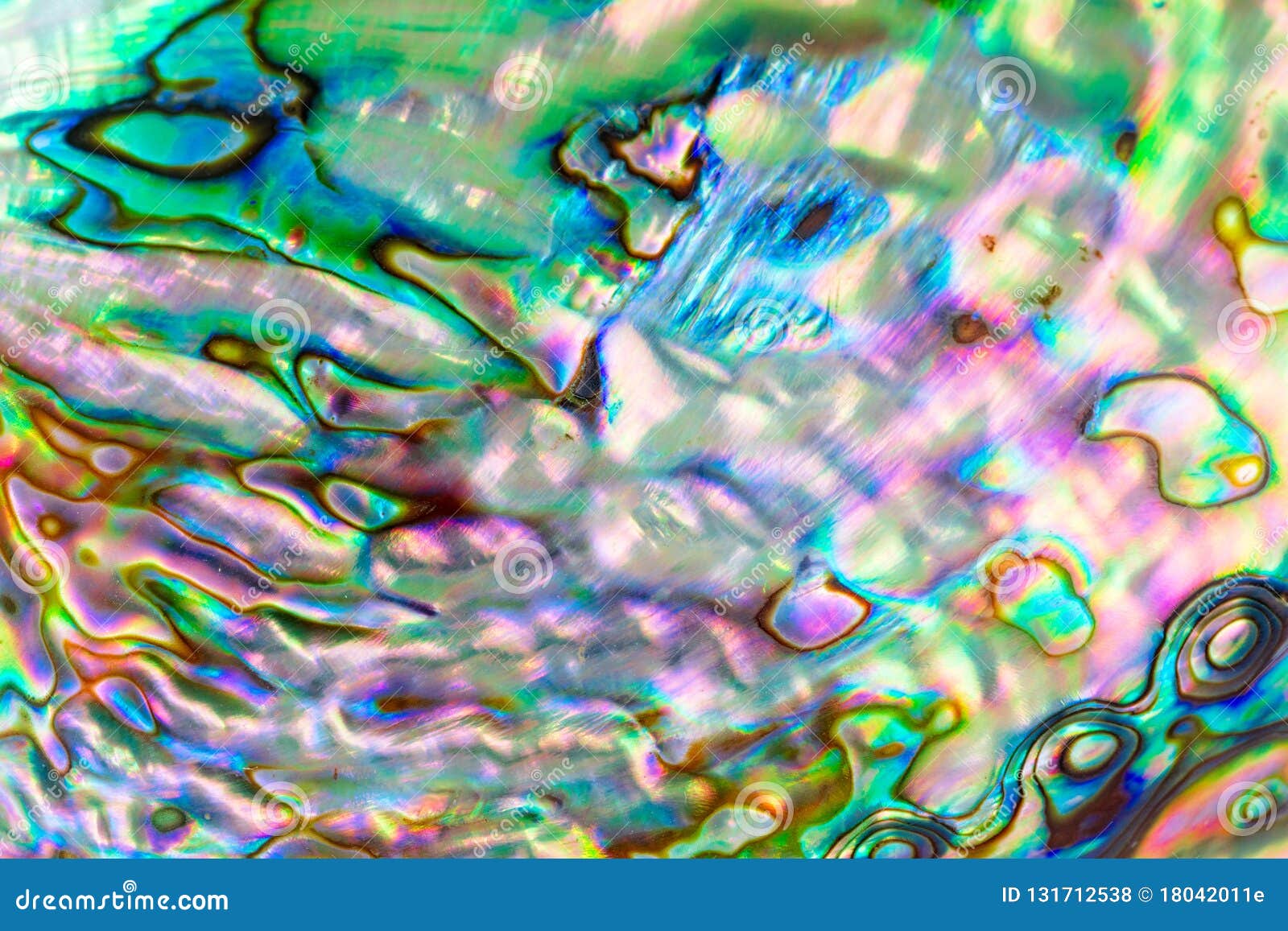 Close Up Multicolour Texture Background of Paua Shell, Haliotis Iris or ...