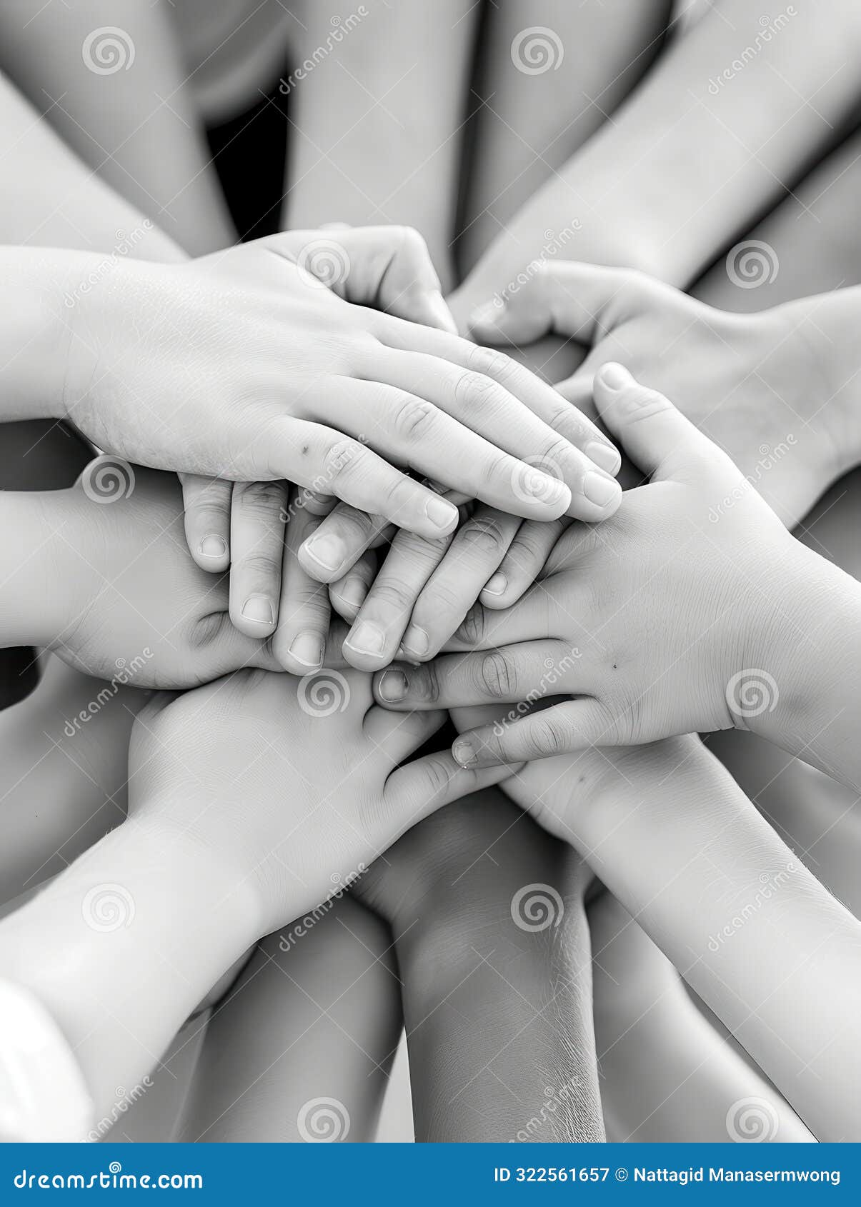 Close-up of Multiple Hands Coming Together in a Gesture of Unity and ...