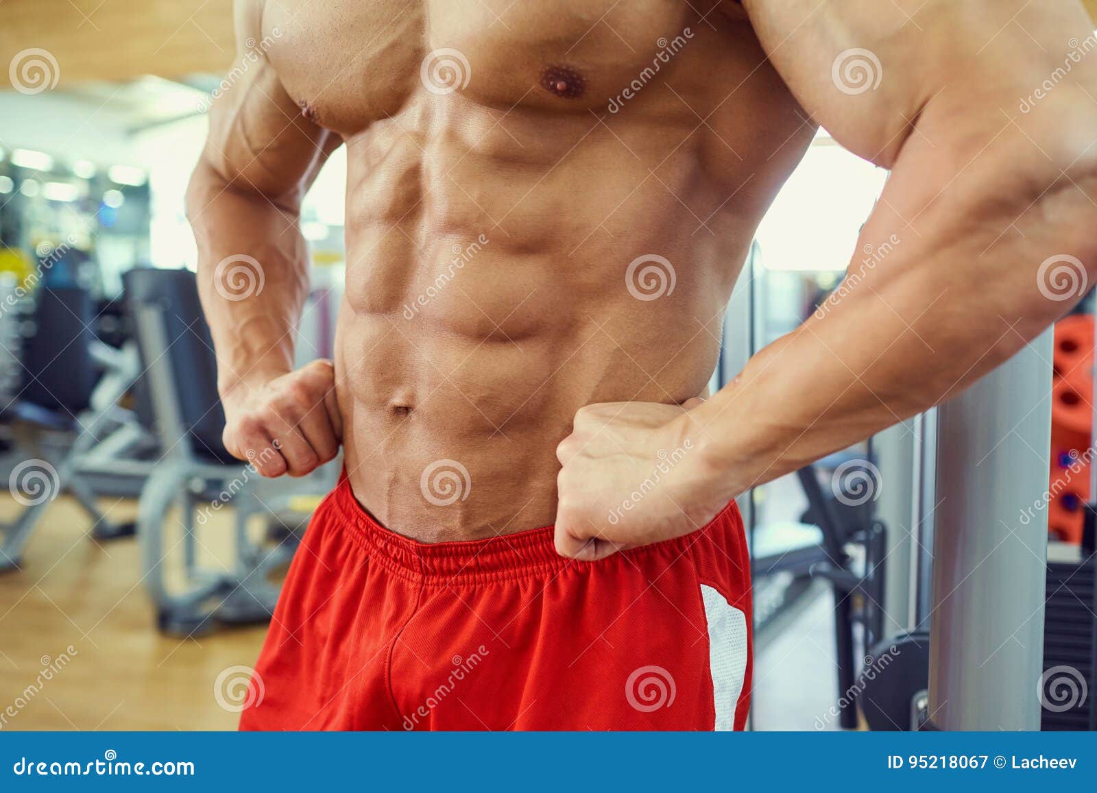 Close-up of Muscle on Belly of a Bodybuilder in the Gym Stock Image ...