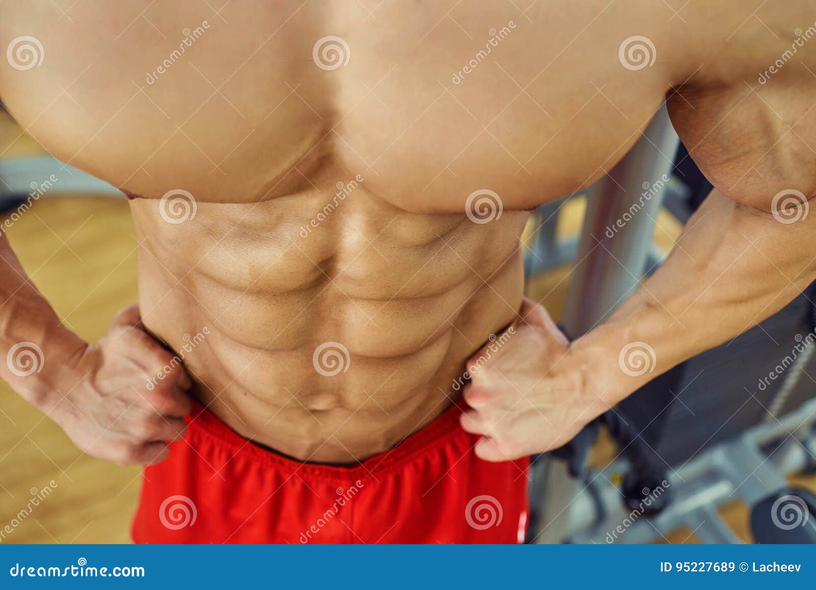 Close-up of Muscle on Belly of a Bodybuilder in the Gym Stock Image ...