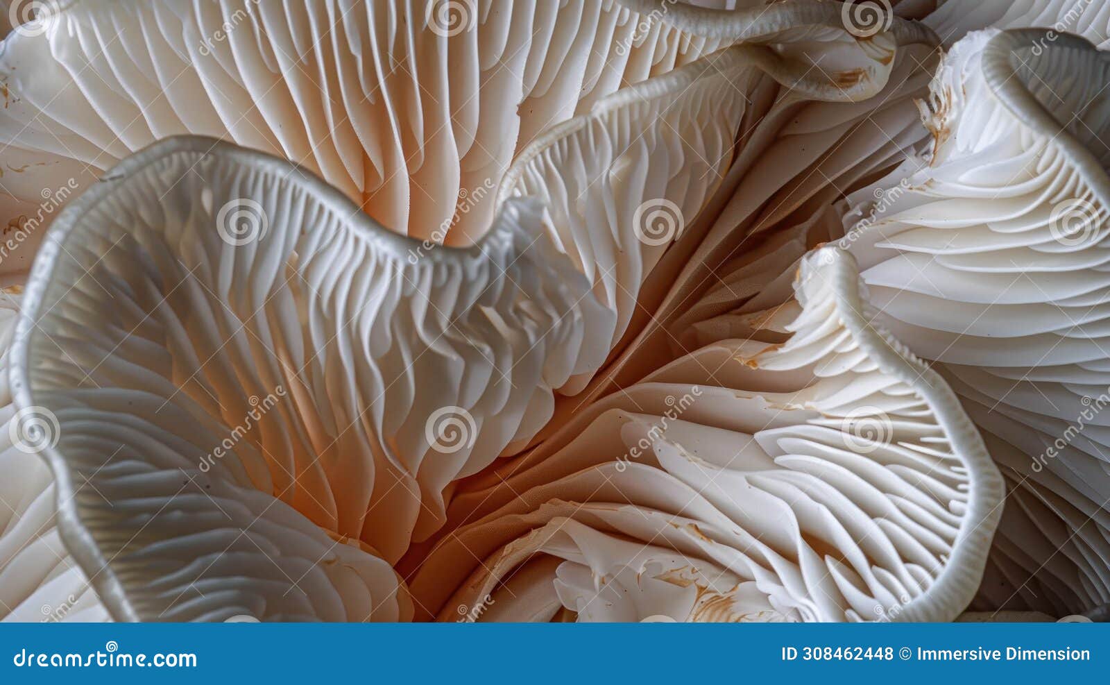 Close-up of Mushroom Underside, Hyper-Realistic Texture, Emphasizing ...