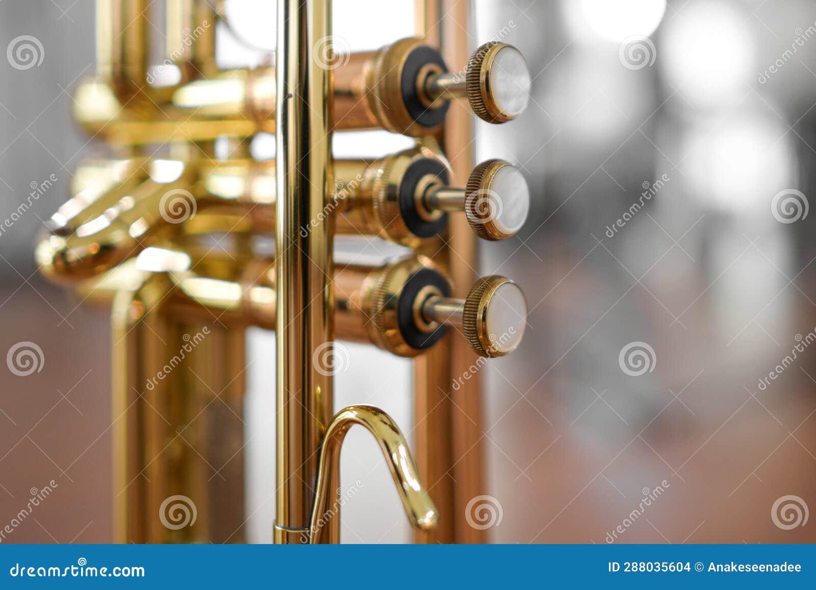Close-up of Musical Instrument Buttons BRASS INSTRUMENT Stock Photo ...