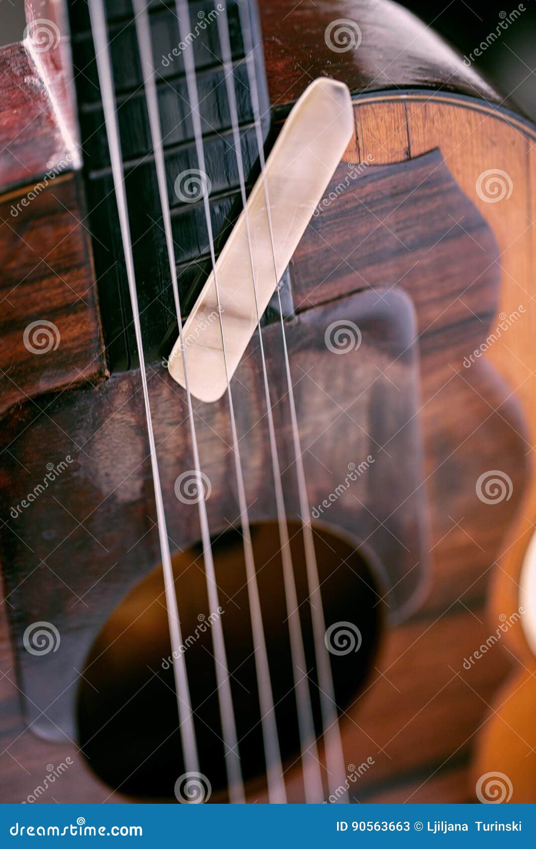 Close Up Musical Instrument Strings and Pick Stock Image - Image of ...