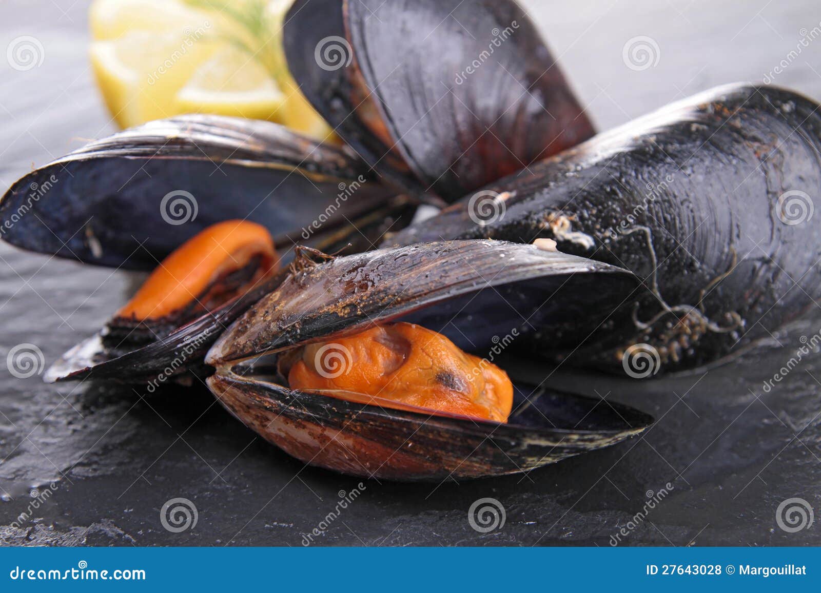 Close up on mussel stock photo. Image of lemon, crustacean - 27643028