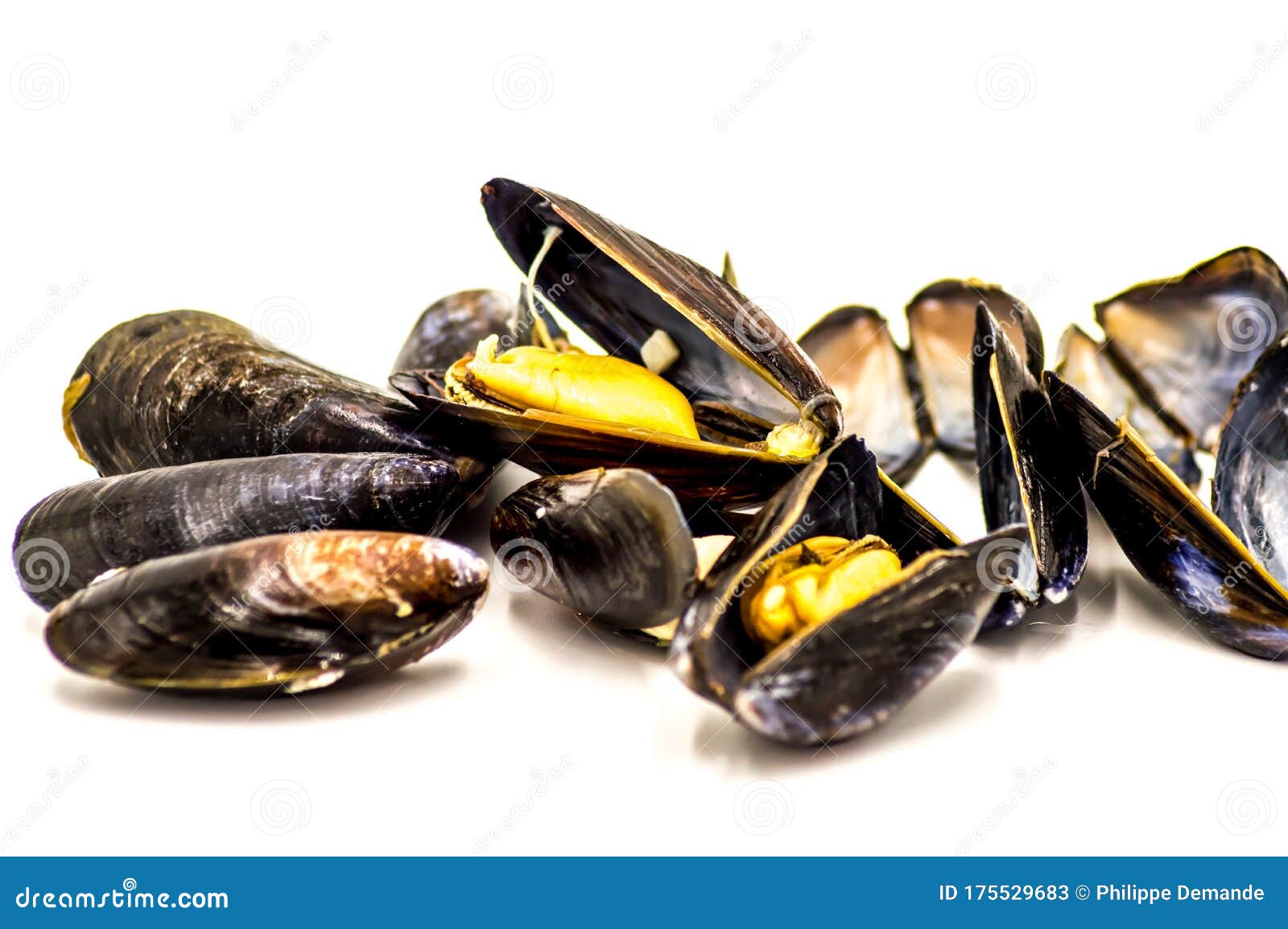 Close-Up of Mussel stock image. Image of horizontal - 175529683