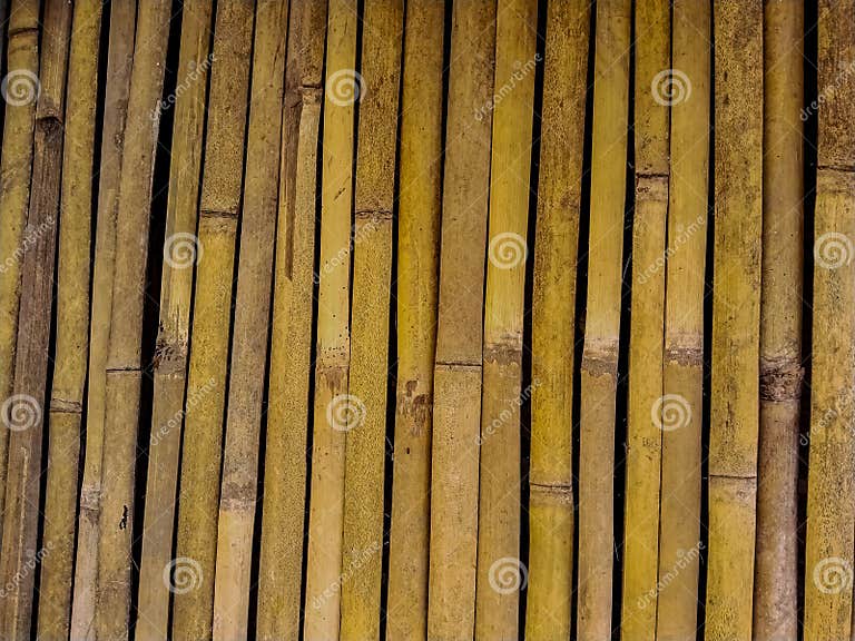 Close-Up of Natural Bamboo Texture Installed Vertically Stock Image ...