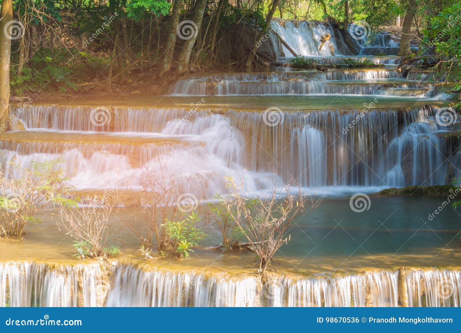 Close Up Natural Deep Forest Waterfall Stock Photo - Image of fresh ...