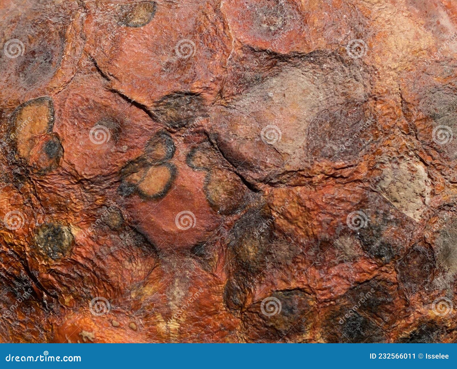 Close Up Rotten Lychee In Bamboo Basket Isolated On White Background ...