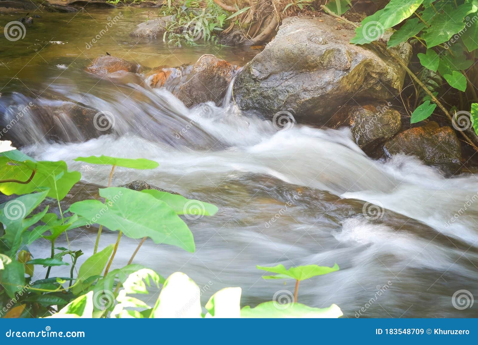 Close Up Natural Stream with Rocks Stock Image - Image of peaceful ...