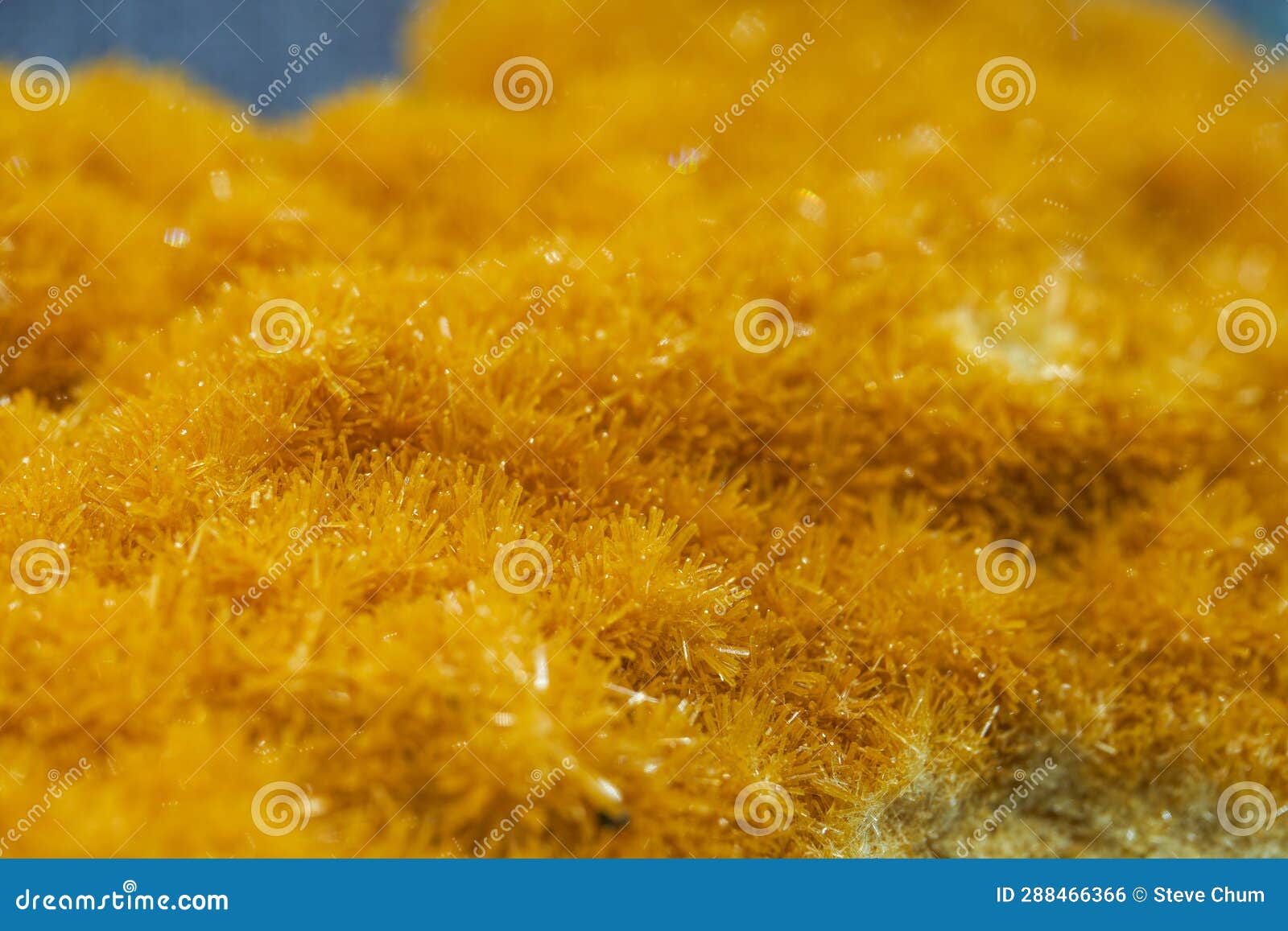 Close-up of Naturally Occurring Rare Yellow Crystalline Ore Stock Photo ...