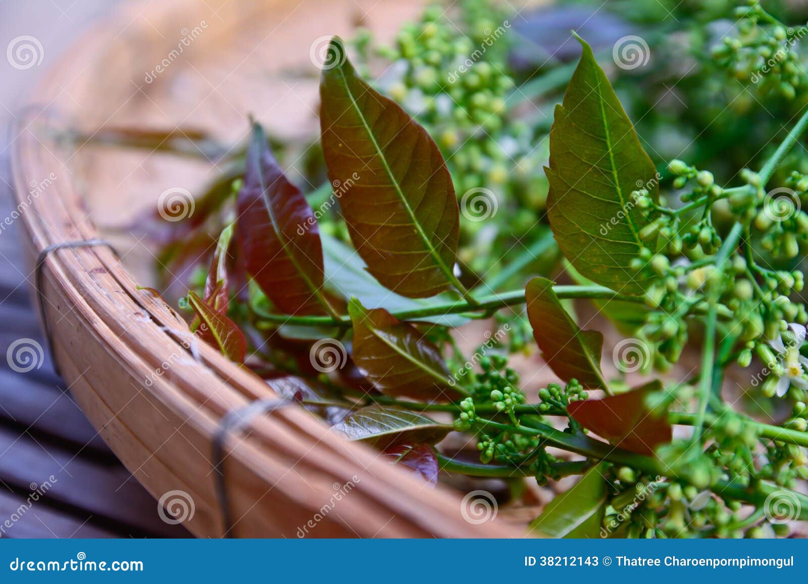 Close-up Neem Leaves and Flowers Stock Image - Image of margosa ...