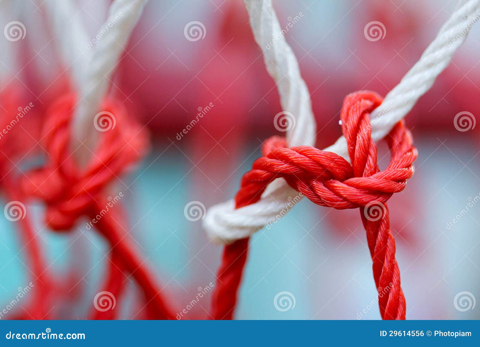 Close up of net stock photo. Image of line, cable, knot - 29614556