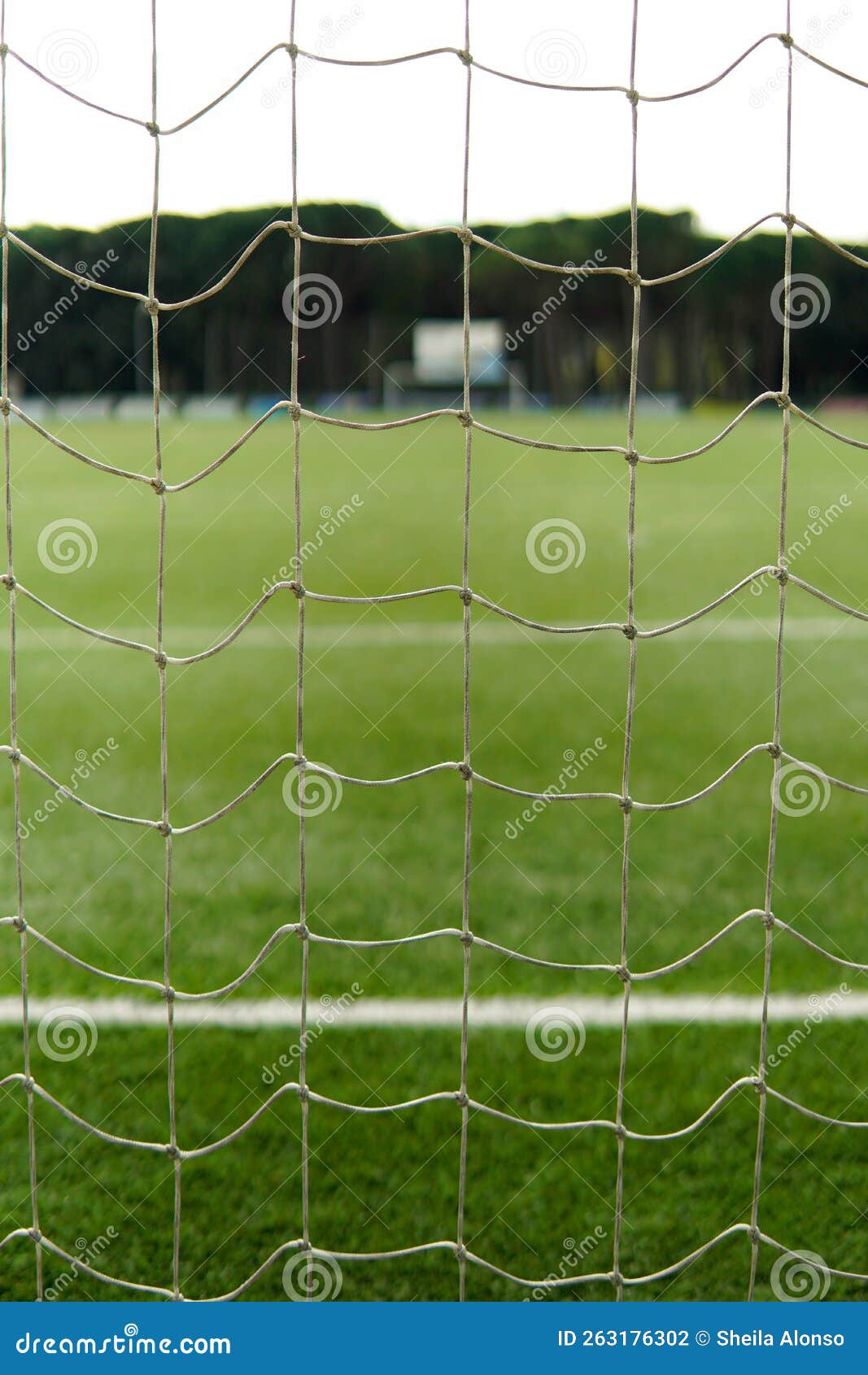 Close-up of the Net of an Empty Soccer Goal. Vertical Soccer Stadium ...
