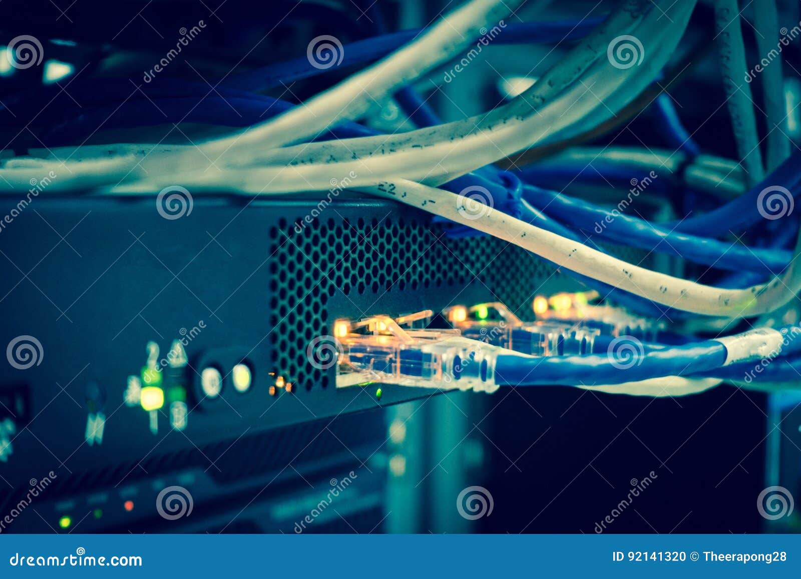 Close Up of Network Internet Cables, Patch Cords Connected Stock Photo ...