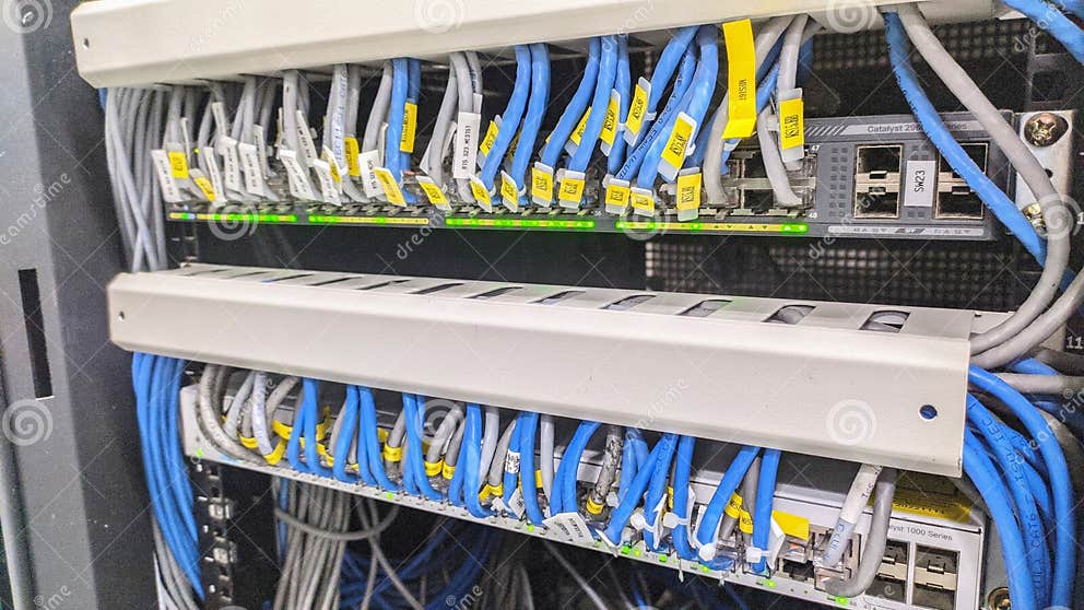 Close-up of a Network Server with Multiple Ethernet Cables Connected To ...