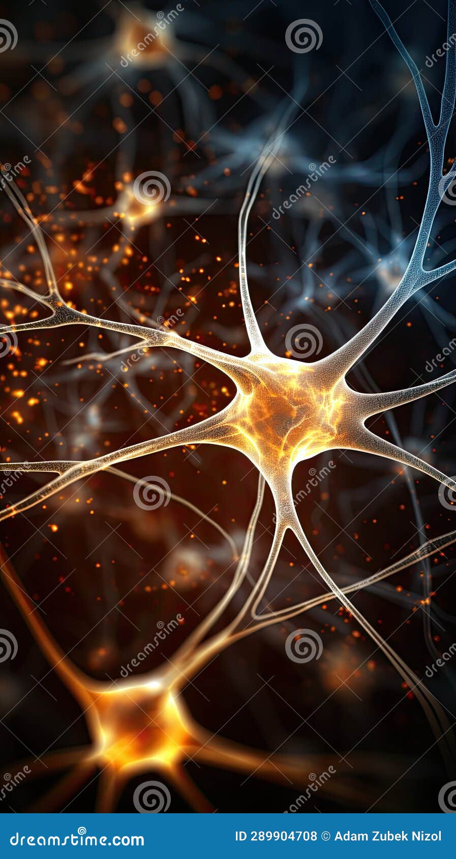 A close up of a neuron stock illustration. Illustration of science ...