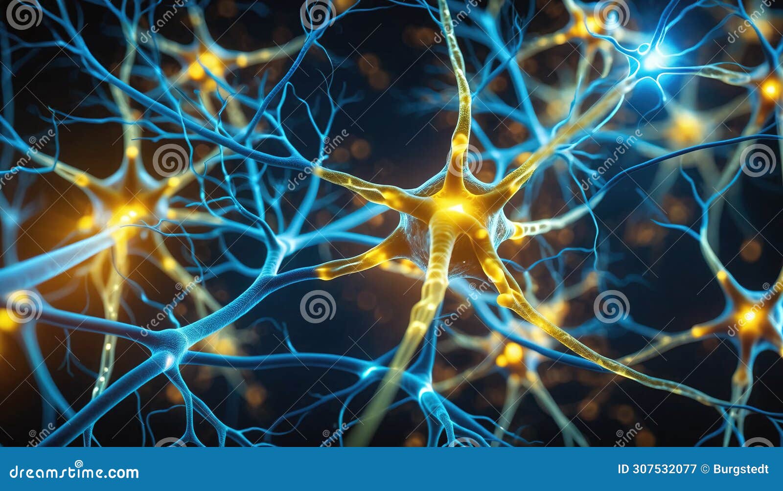 Close-up of a Neuron or Nerve Cell Integrated in the Neuronal Network ...