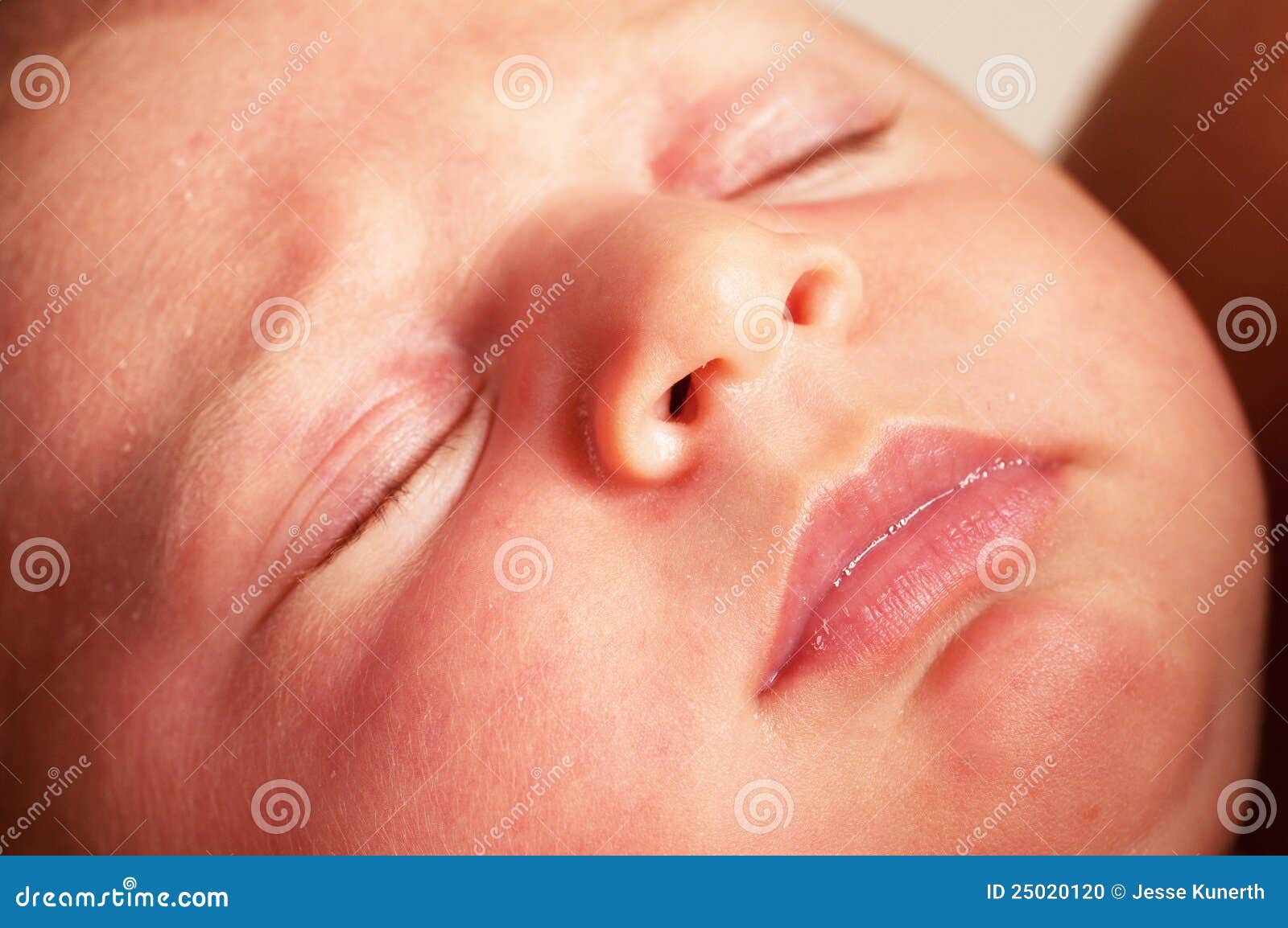 Close up of Newborn stock photo. Image of caucasian, white - 25020120