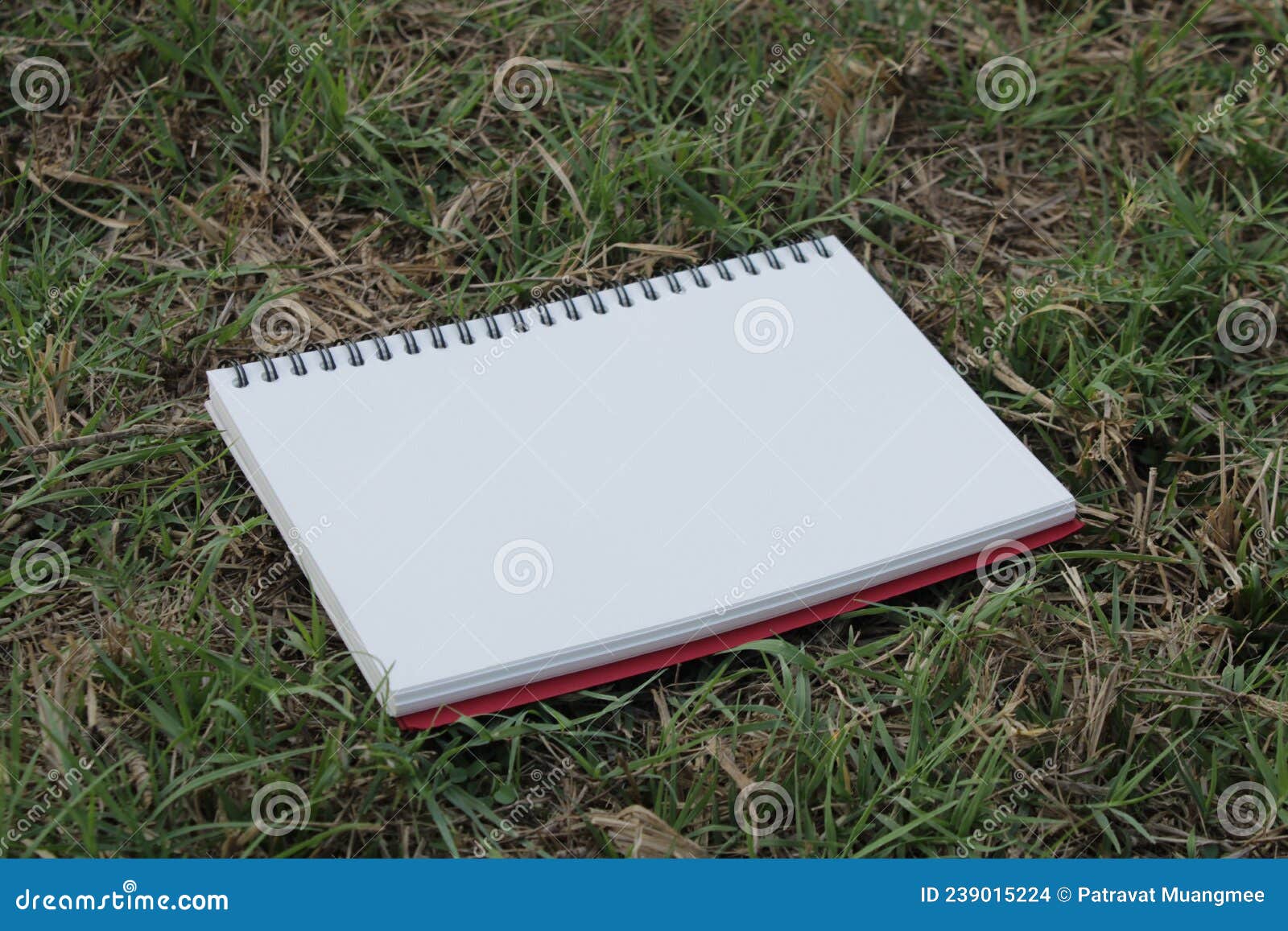Close-up of a Note on the Ground. Stock Photo - Image of furniture ...