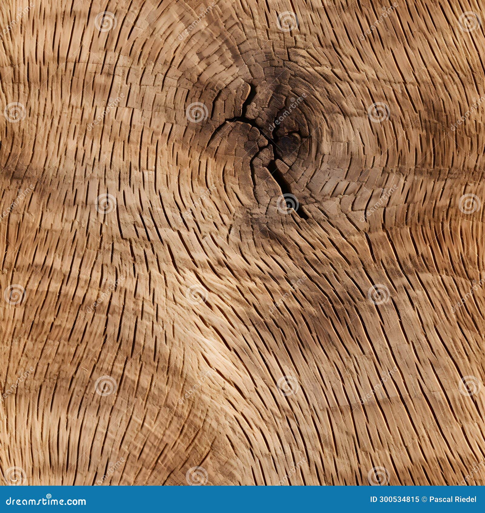 Close Up of Oak Wood Pattern. Rustic and Old Looking Oak Wood Stock ...