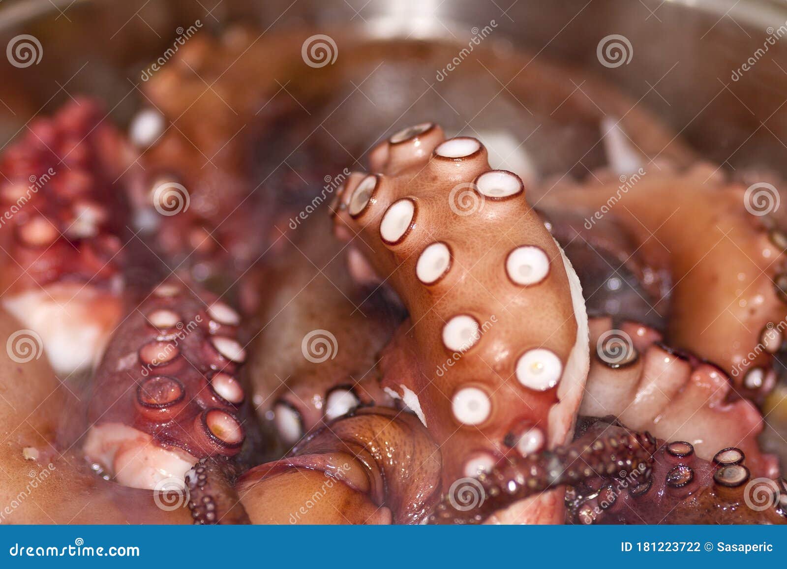 Close Up of Octopus Tentacles Baking Stock Photo - Image of traditional ...
