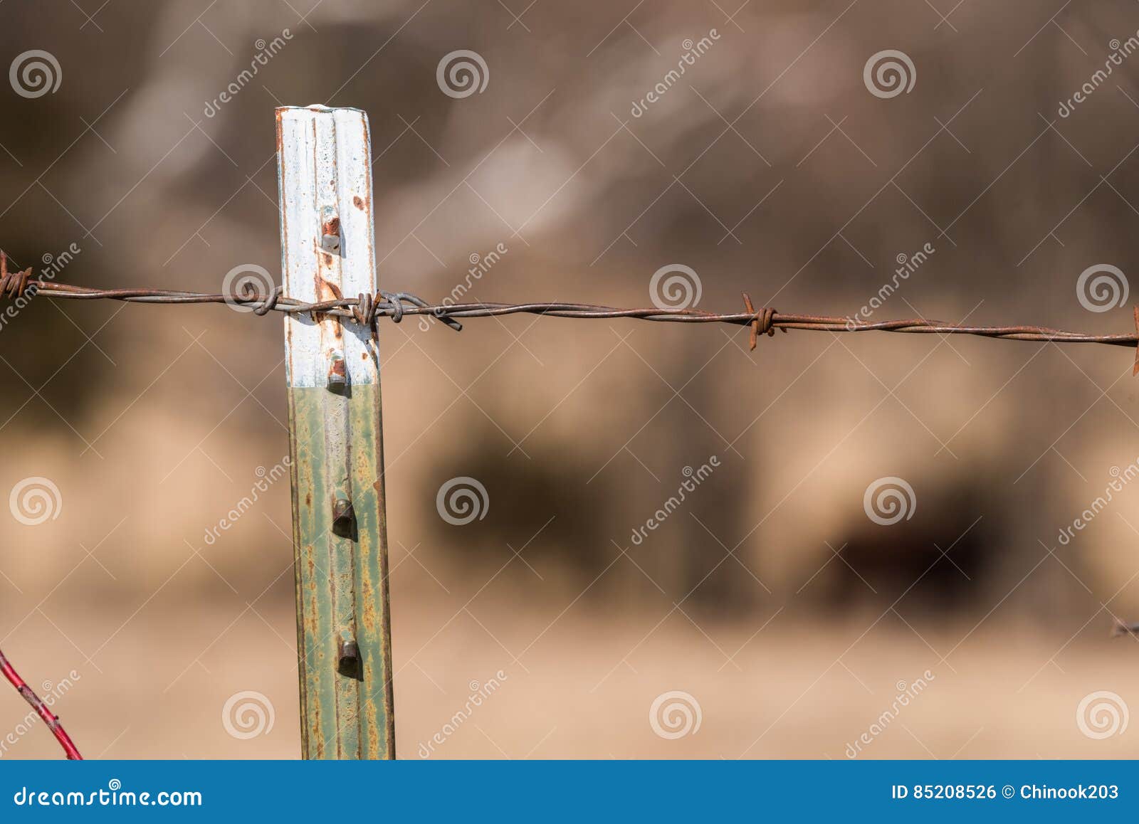 Close Up of Old Barbed Wire Fence Post Stock Photo - Image of farm ...