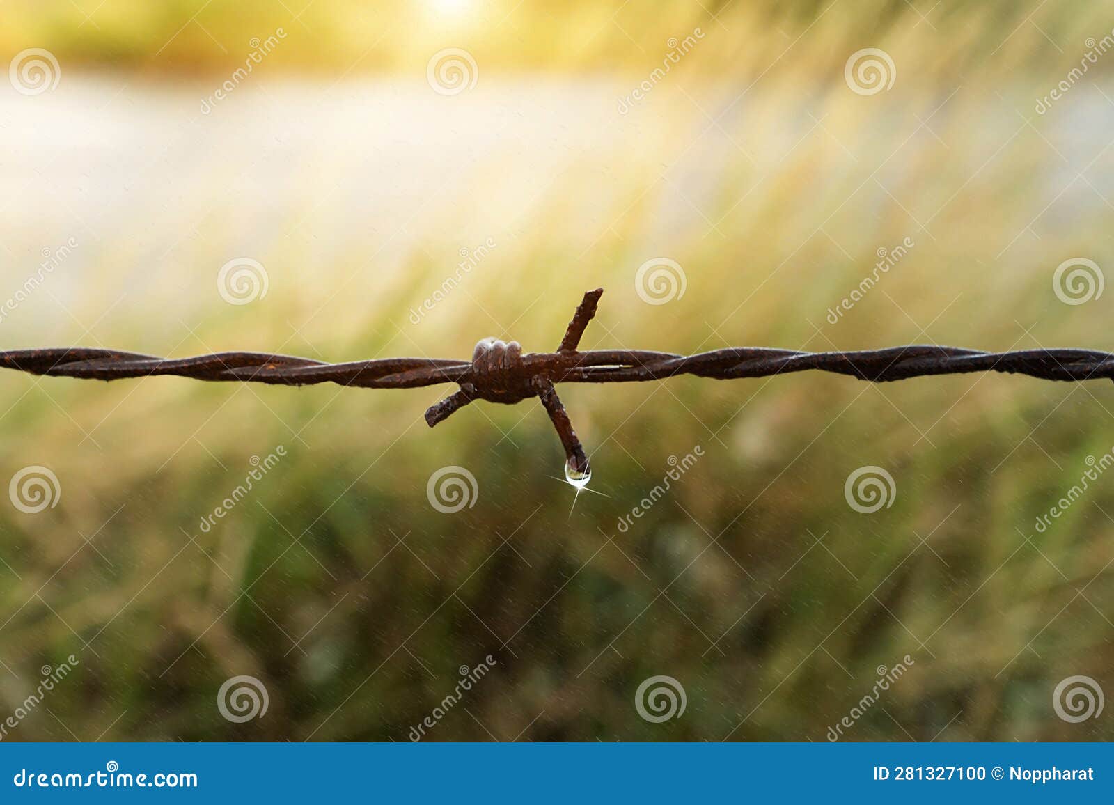 Close Up of Old Barbed Wire Stock Photo - Image of forbid, close: 281327100