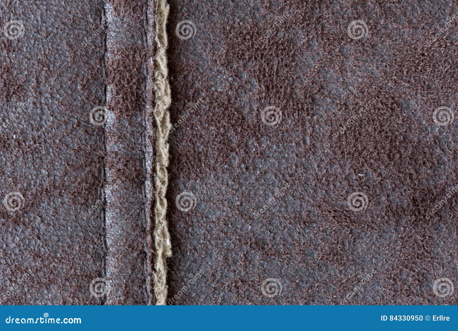Close-up old book shell stock photo. Image of education - 84330950