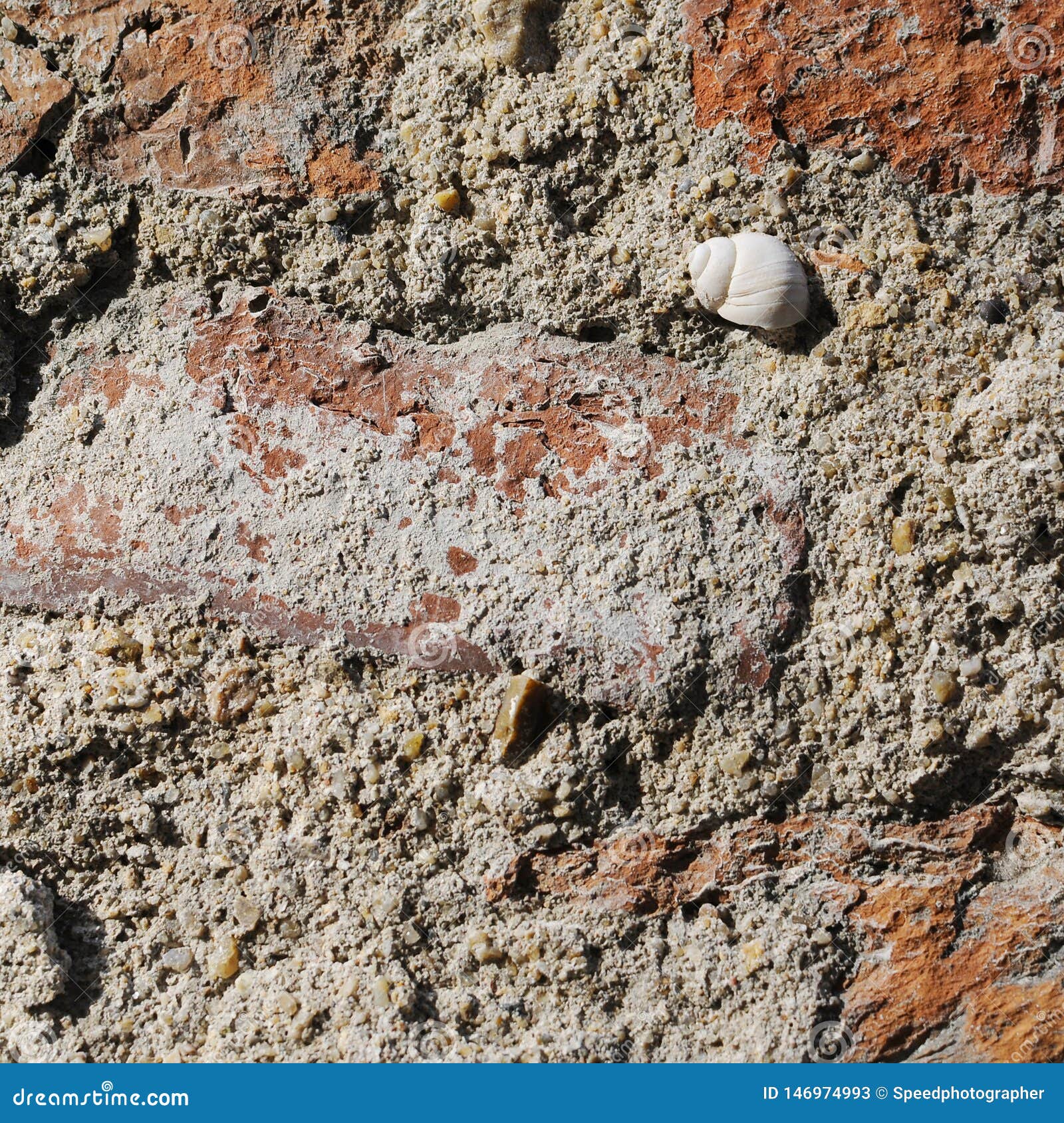 Close Up of Old Brick Wall with Fossil Attached Stock Image - Image of ...
