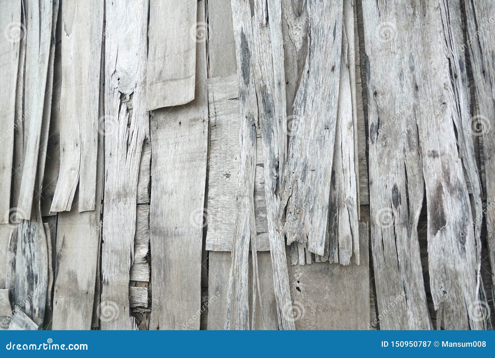 Old Broken Wood Plank Texture Stock Image - Image of rough, texture ...
