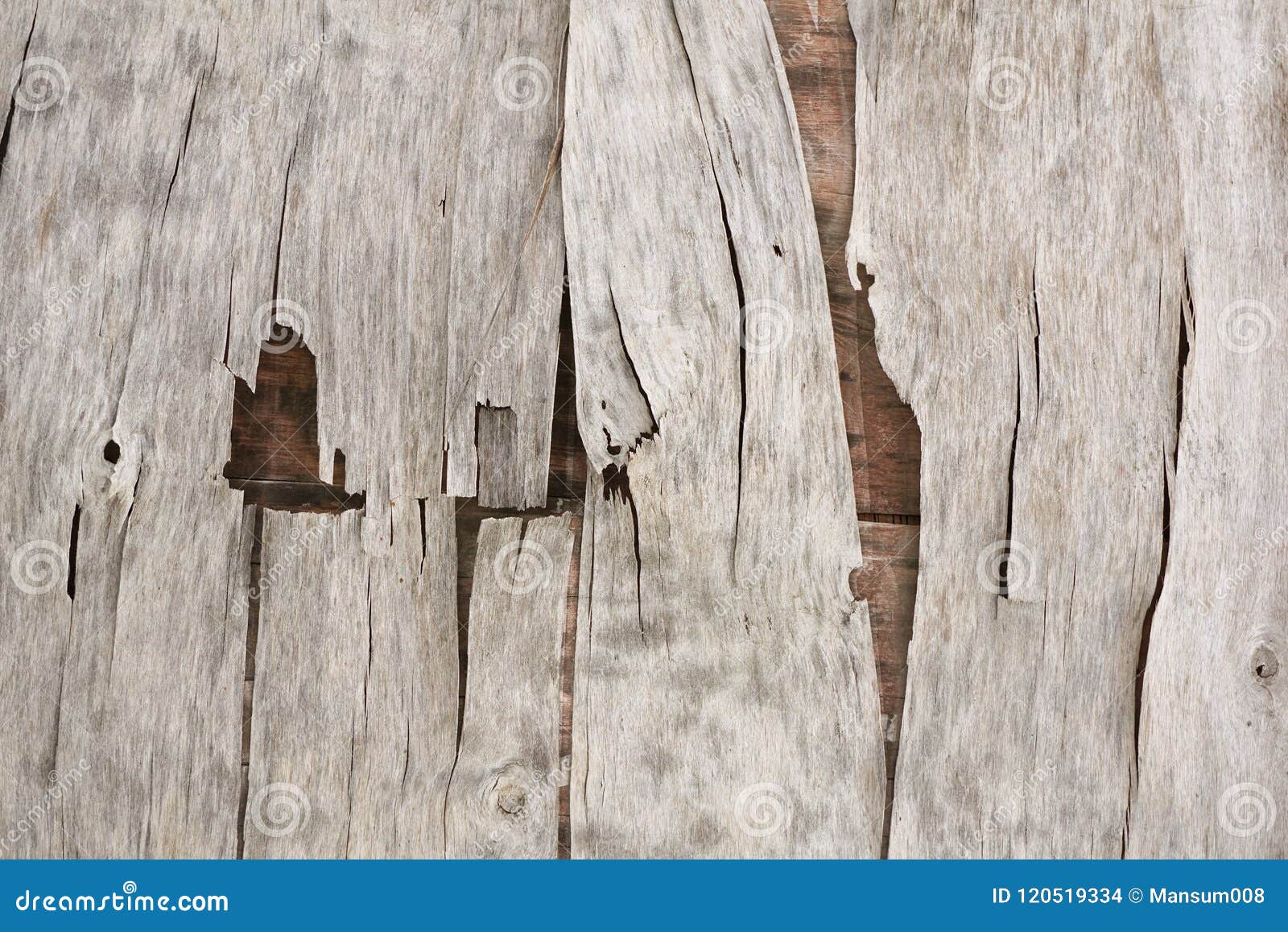 Splintered Wood Texture