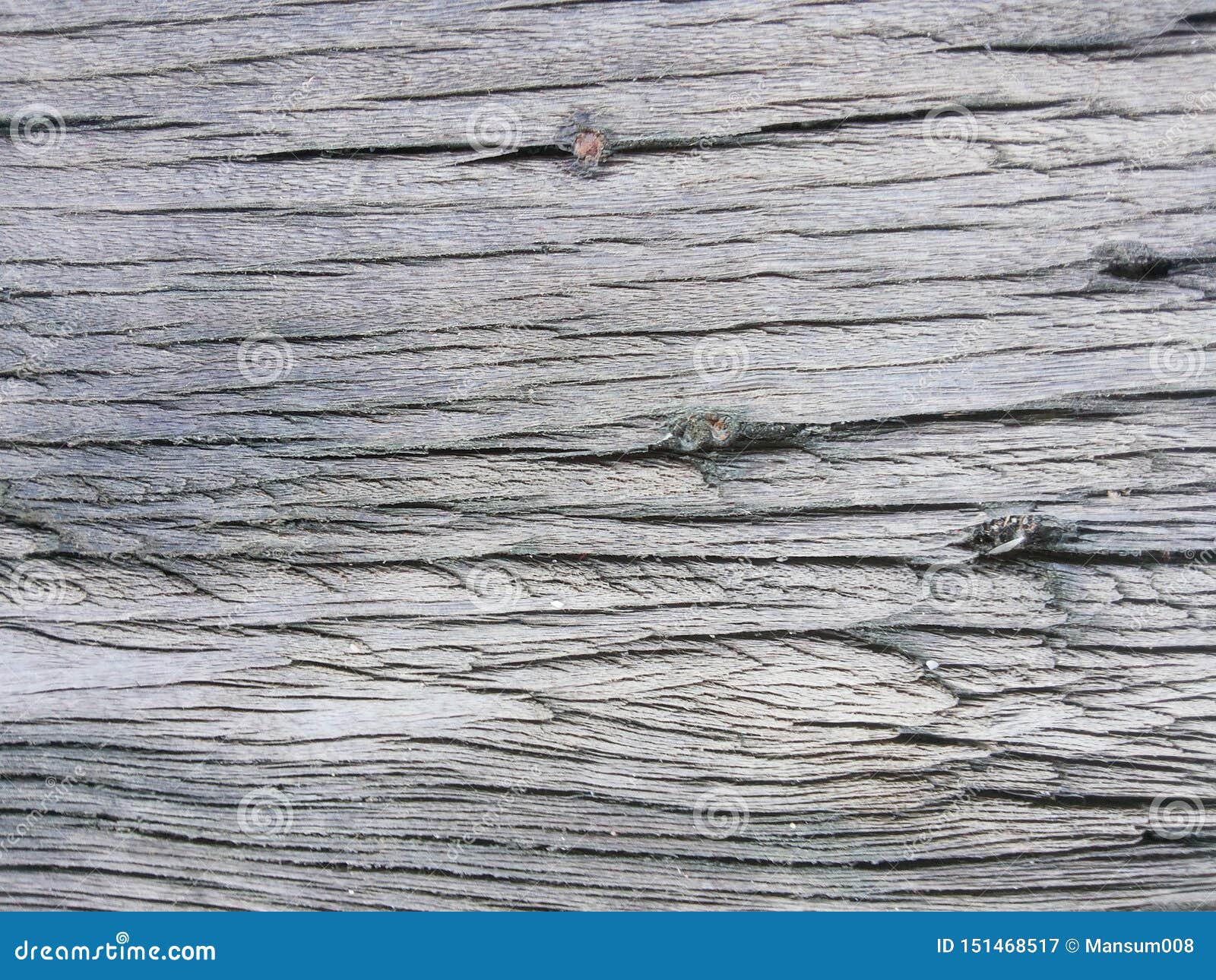 Old Broken Wood Plank Texture Stock Image - Image of board, close ...