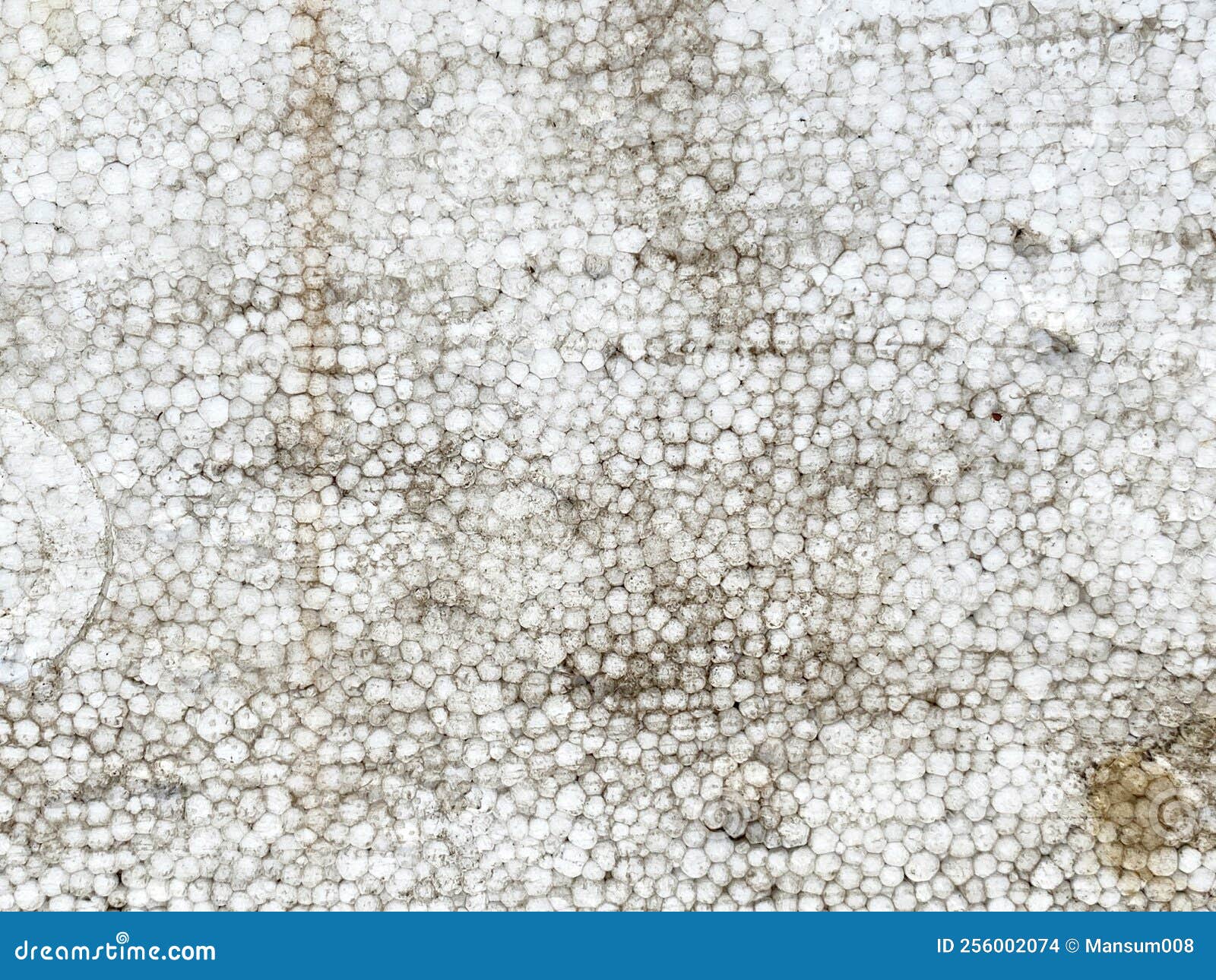 Old foam texture stock photo. Image of light, pattern - 256002074