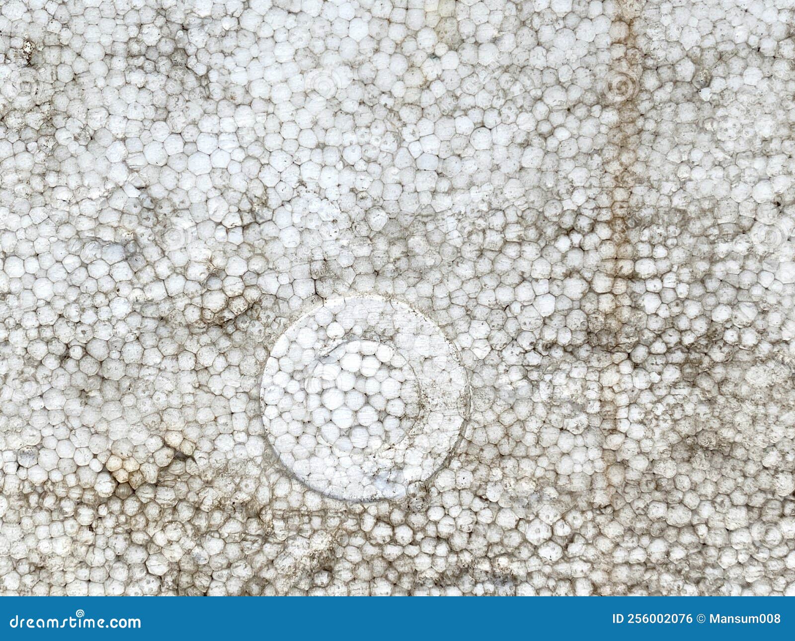 Old foam texture stock photo. Image of color, close - 256002076