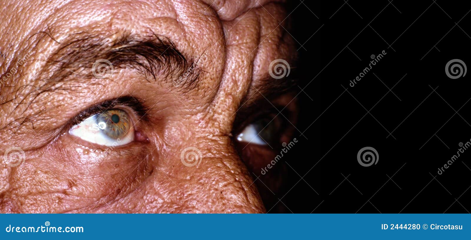 Close up of old man eyes stock photo. Image of human, praying - 2444280