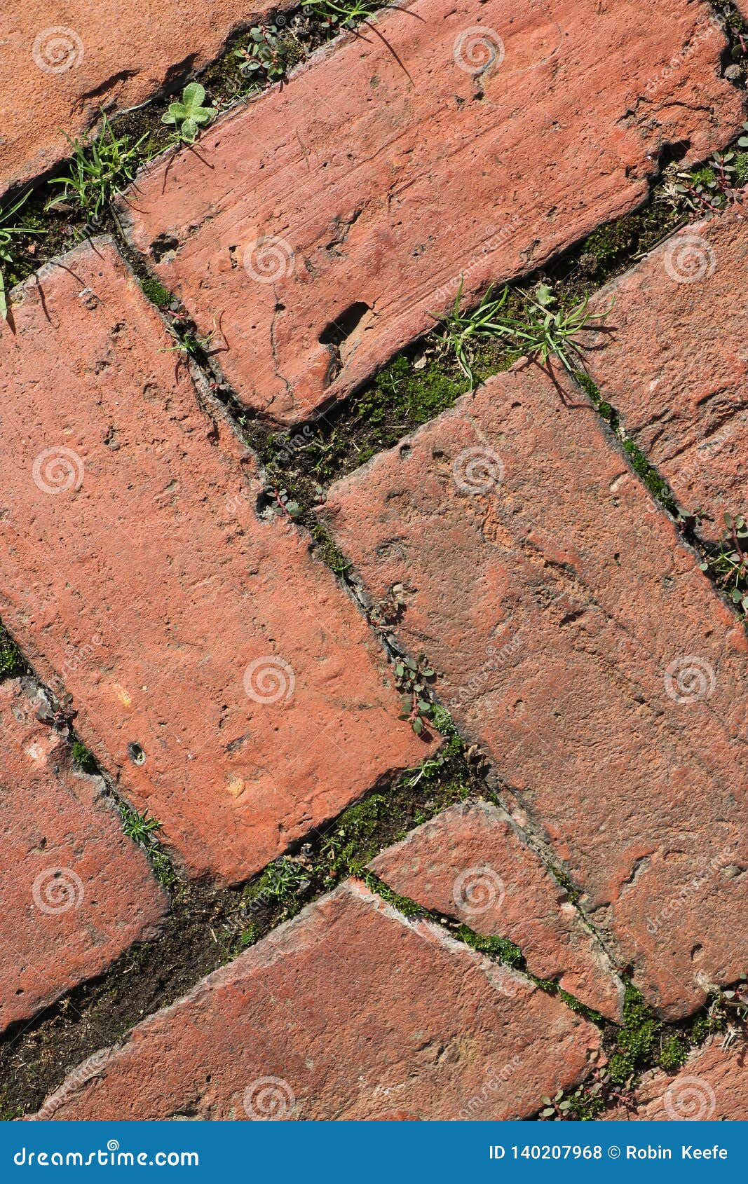 Old Red Brick Make an Angled Pathway and Fill the Screen Stock Photo ...