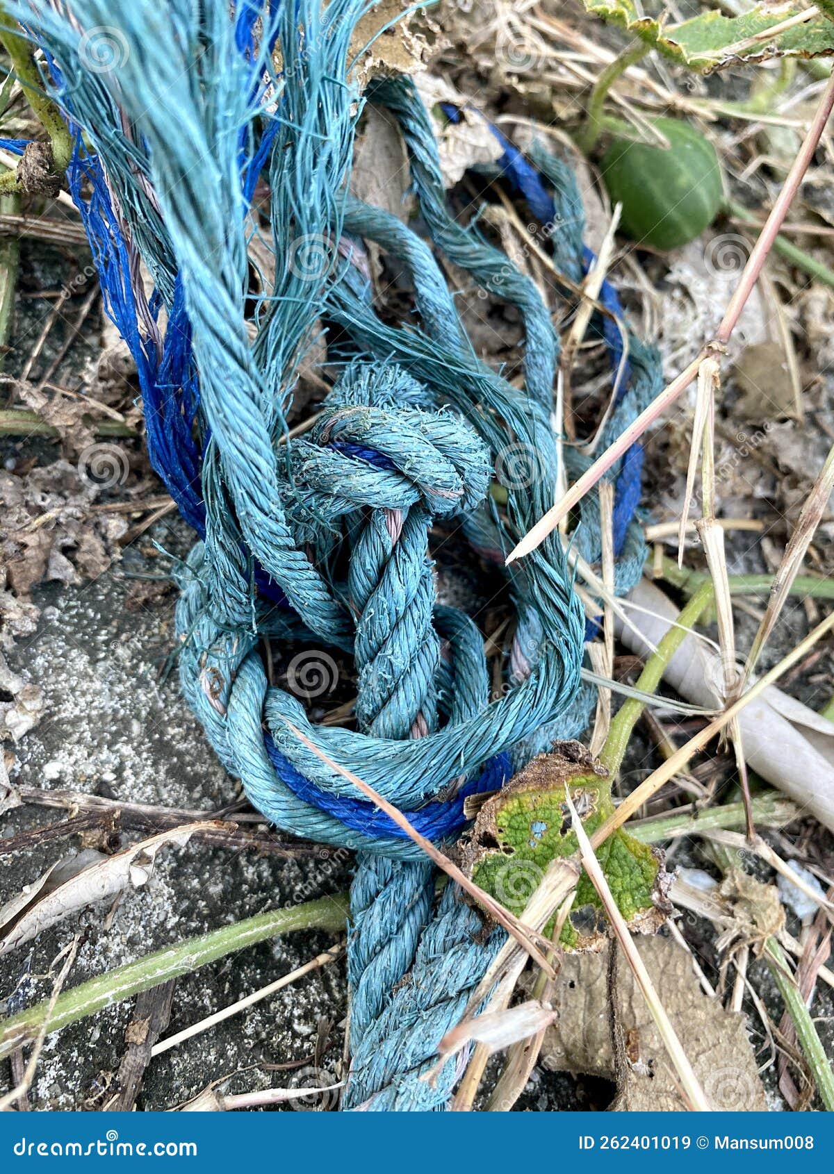 Old rope on the ground stock image. Image of safety - 262401019