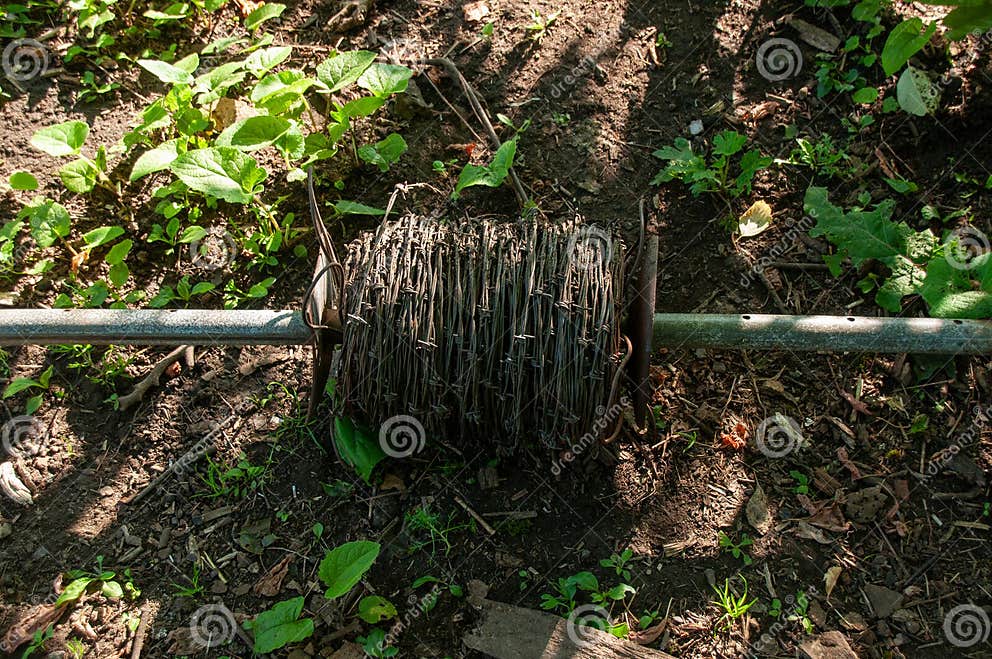 A Close-up of Old Rusty Barbed Wire Stock Photo - Image of brown, frame ...