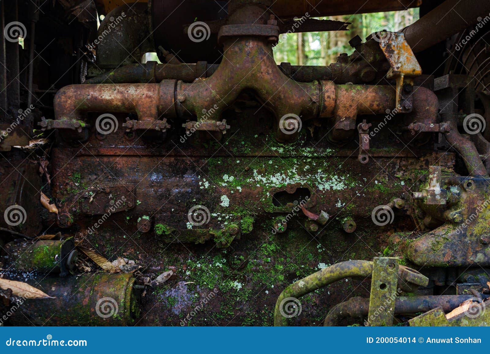 Close-up of an Old Rusty and Mossy Car Engine Stock Photo - Image of ...