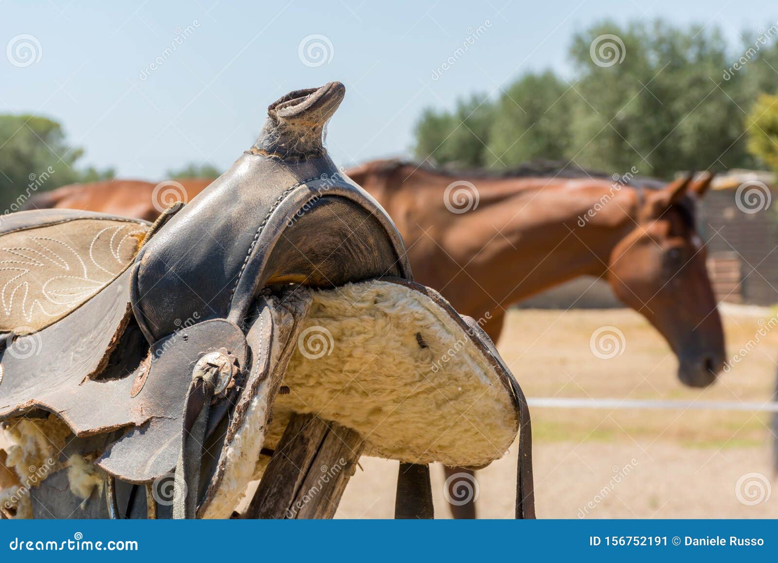 Close Up of Old Saddle on Blur Background in a Sunny Day Stock Image ...