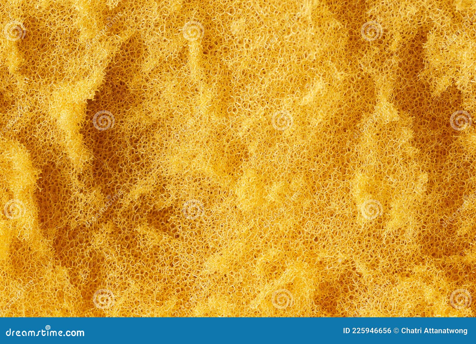 Close Up Old Sponge Surface Background Stock Photo - Image of abstract ...