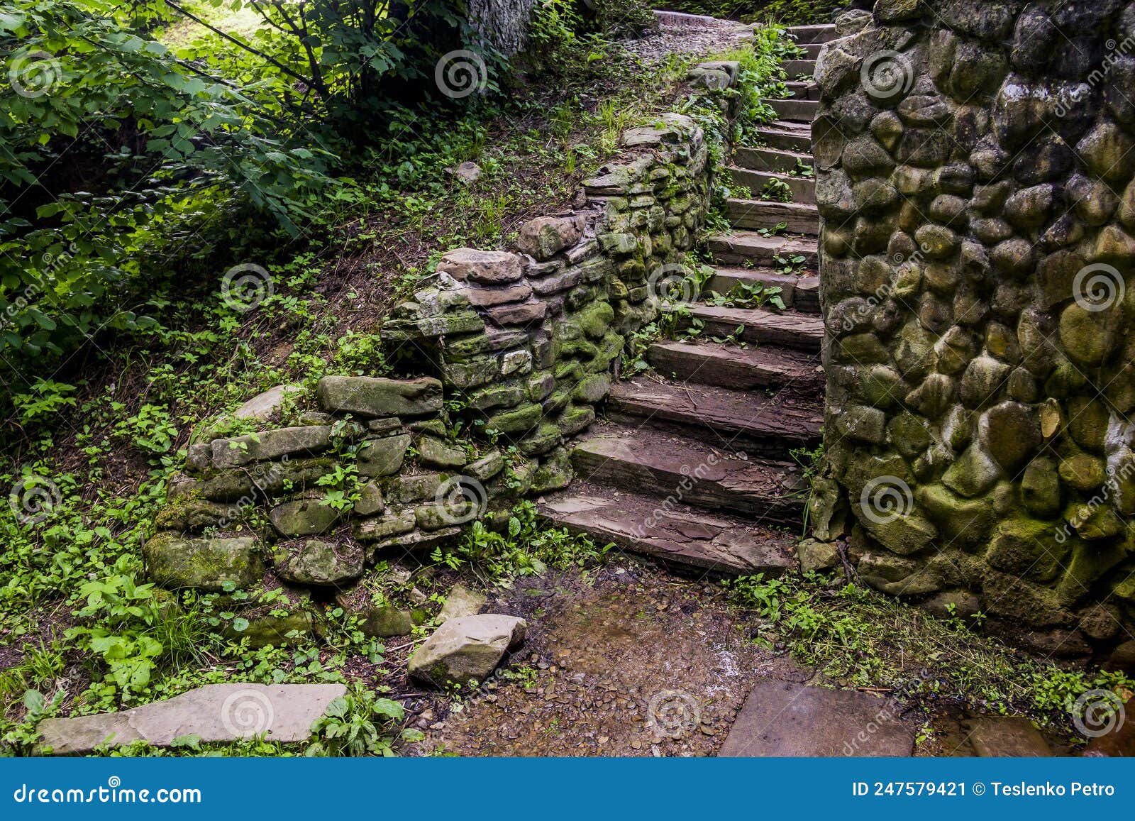 Old Stone Ladders in the Forest Stock Image - Image of rusty, brown ...