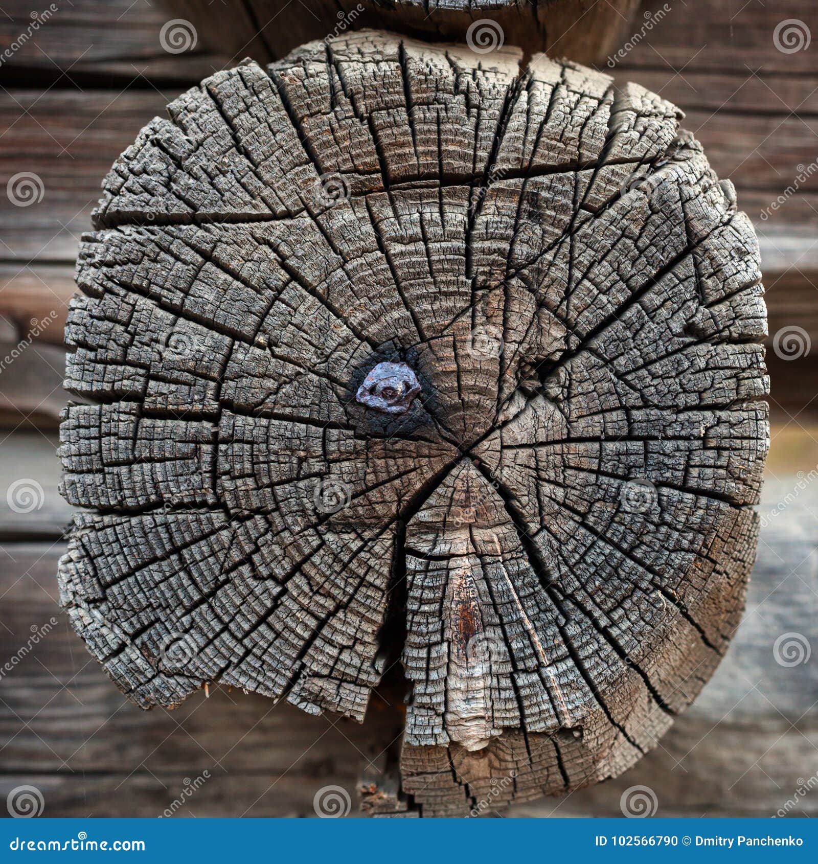 Old log side. stock photo. Image of antique, tiled, planks - 102566790