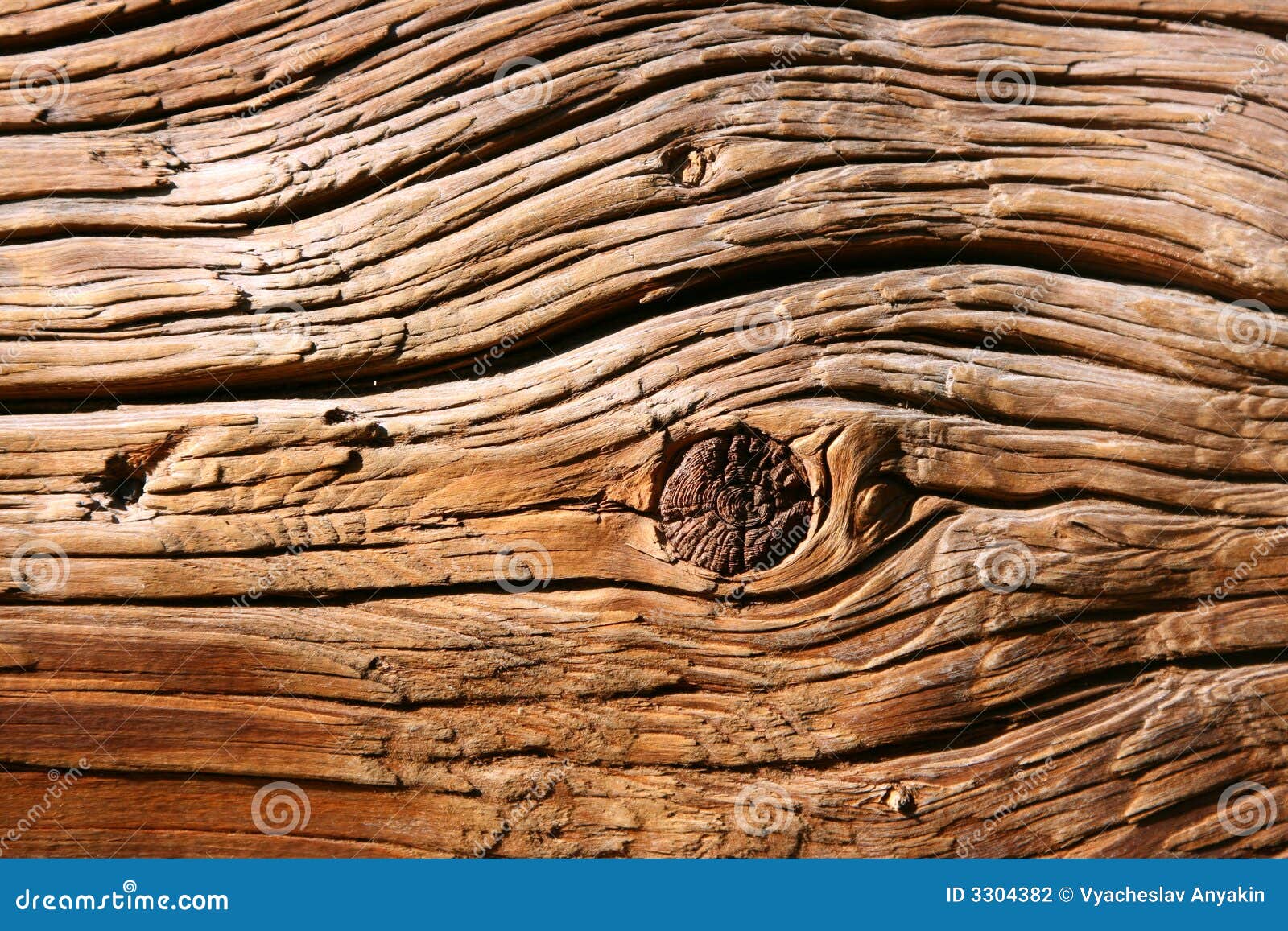 Close-up Old Wooden Texture Stock Photography - Image: 3304382