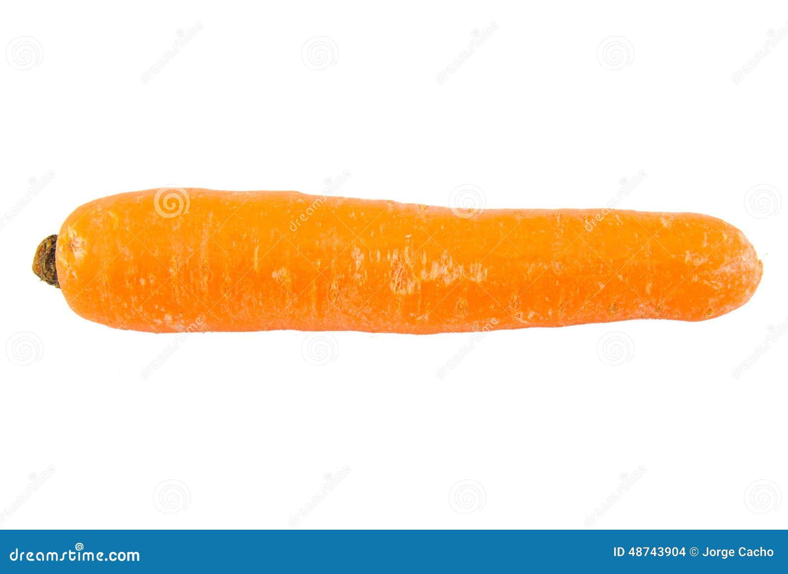 Close Up of One Carrot Isolated on White Stock Photo - Image of orange ...