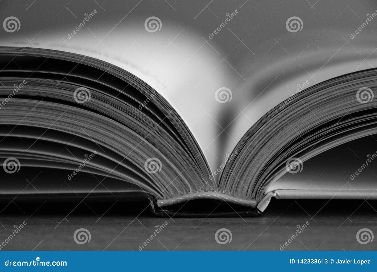 Close Up on an Open Book in Black and White Stock Image - Image of ...